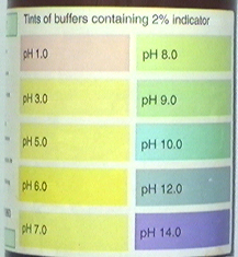 Theory of acid-base indicators