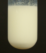 Silver halide precipitates