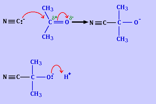 Nucleophilic Addition mechanism