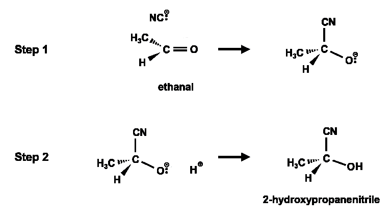 Nucleophilic Addition mechanism